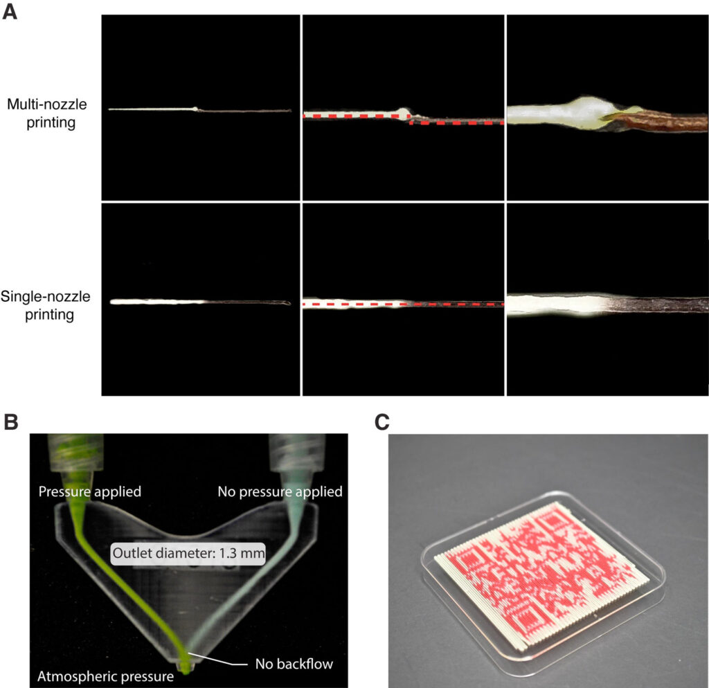 Team 3D-druckt essbare QR-Codes mit Lebensmitteldrucker